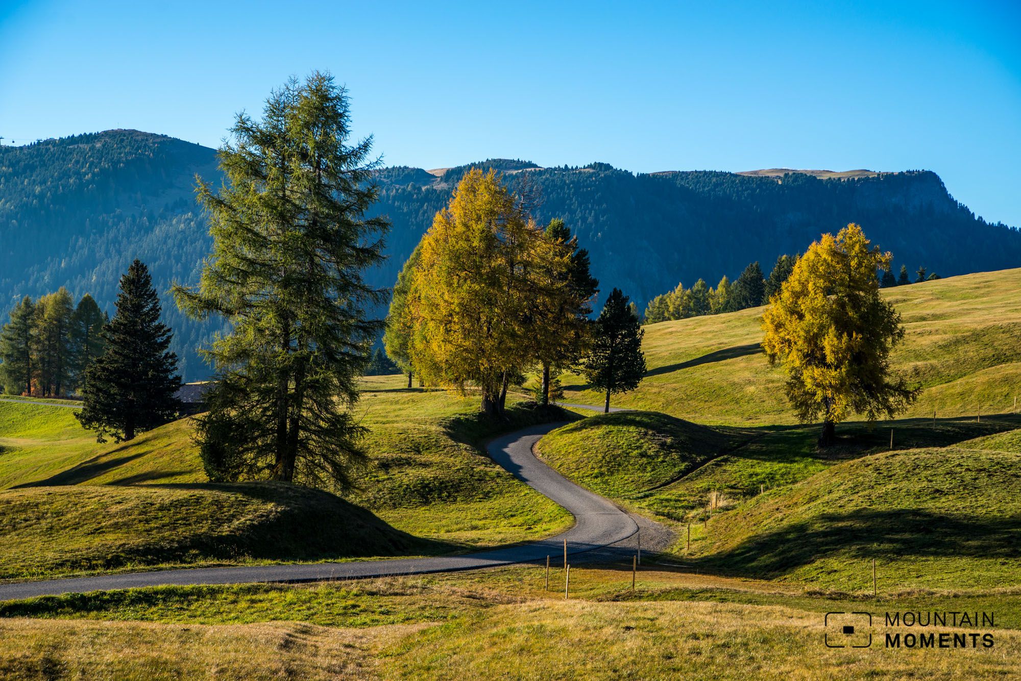 Long, Easy Hike! Explore Europe’s Largest Alpine Meadow on a memorable ...